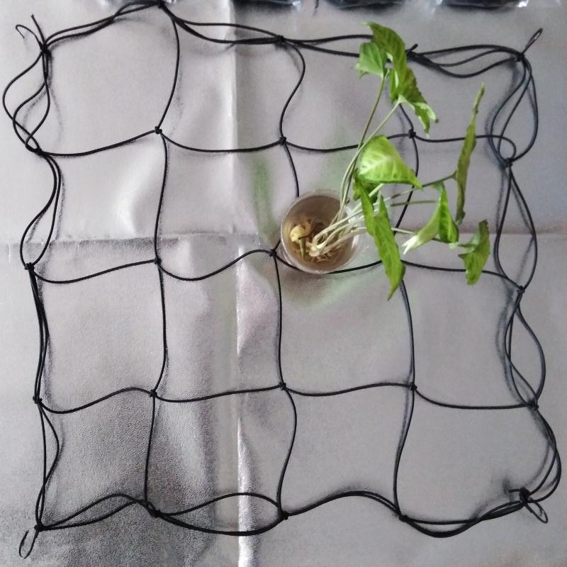 ตาข่าย Scrog Net for Hydroponic Grow Tent Plant Support Mesh Netting ...