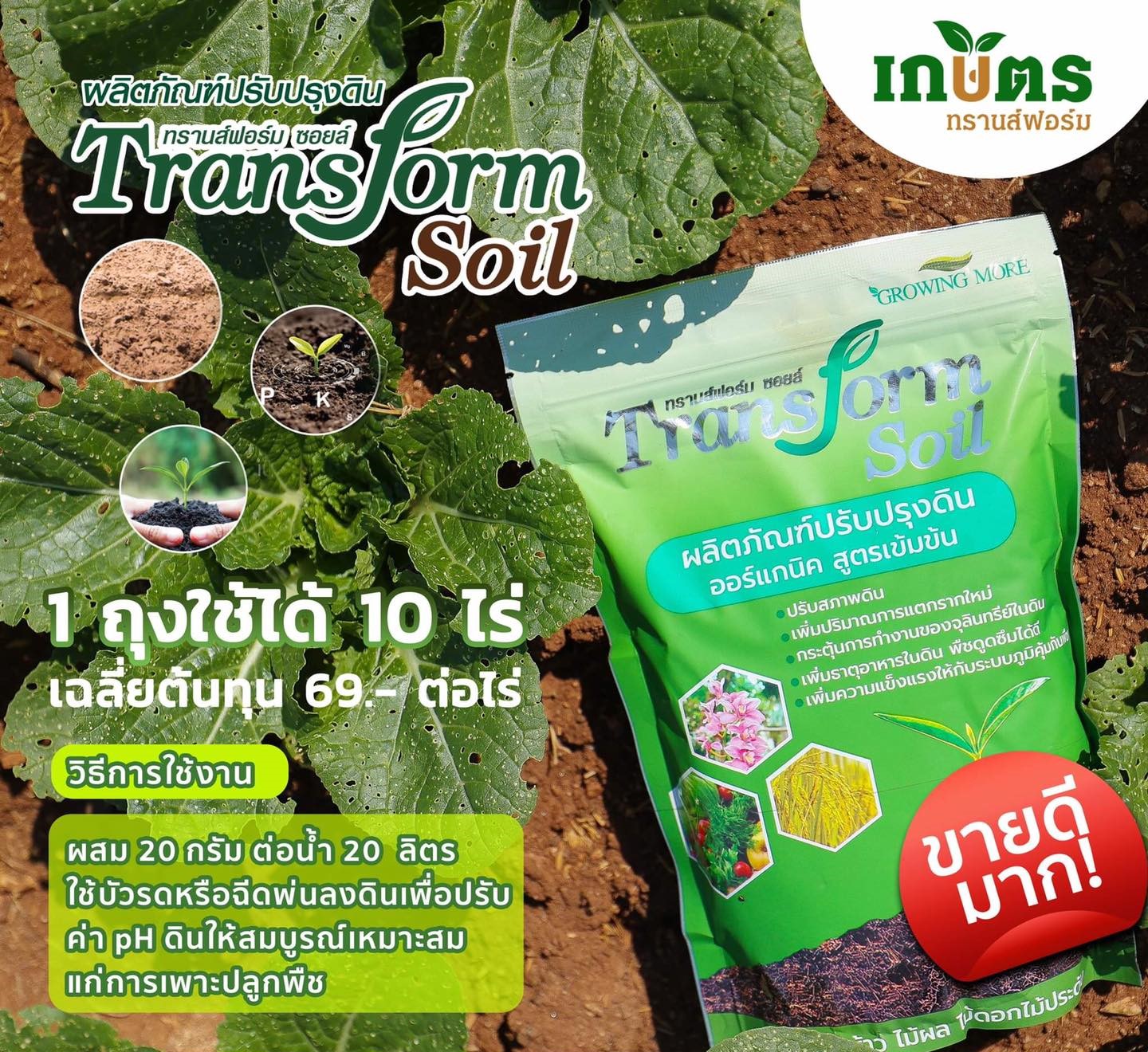 (TRANSFORM Soil ทรานส์ฟอร์ม ซอยด์) แก้ทุกปัญหาดิน ผลิตภัณฑ์ปรับปรุงดิน ...
