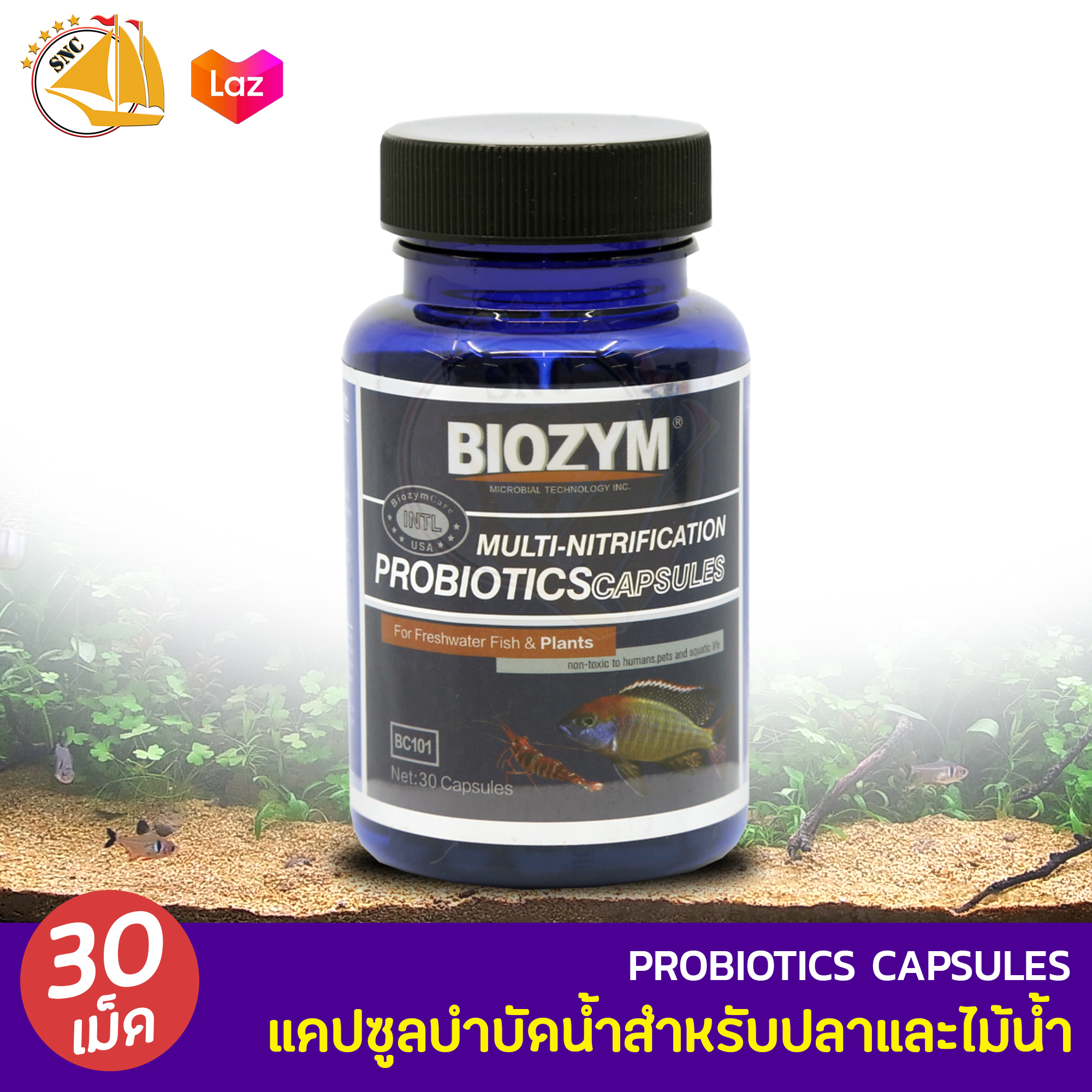 แคปซูลแบคทีเรียเข้มข้น BIOZYM Nitrification Capsules สำหรับตู้ปลาน้ำจืด ...