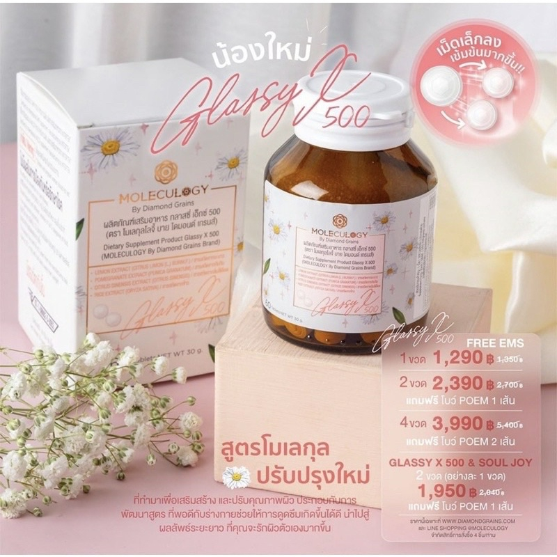 Glassy x 500 Moleculogy by Daimongain | กลาสซี่เอ็กซ์ สูตรใหม่ 60เม็ด ...