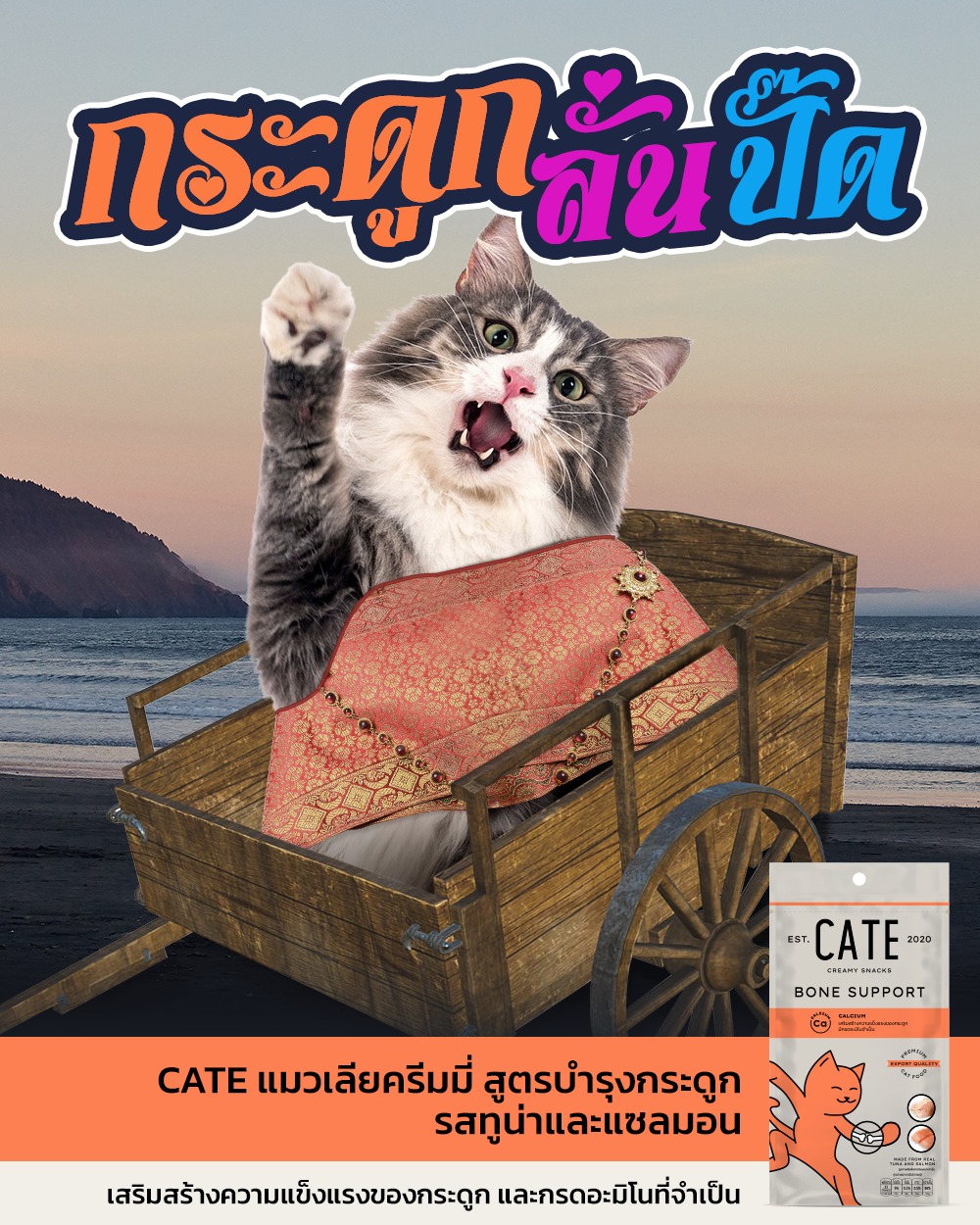CATE เคท ขนมแมวเลียเสริมแคลเซียม รสปลาทูน่าแซลมอล - CATE FOR CAT - ThaiPick