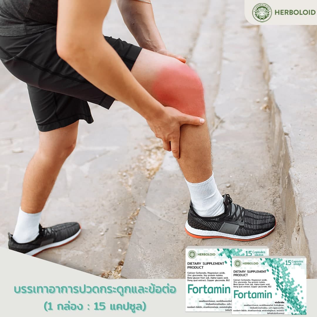 FORTAMIN Herboloid ผลิตภัณฑ์บำรุงกระดูก และข้อต่อ - 6 แถม 3 - Herboloid ...