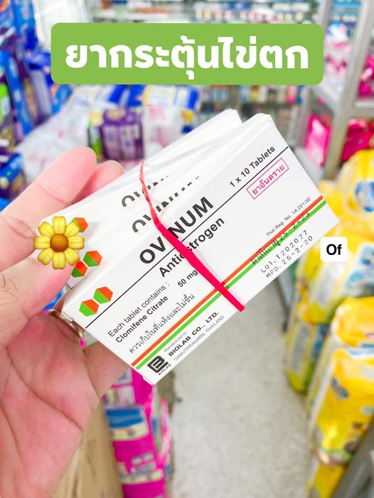 **พร้อมส่งทันทีคะ** OVINUM - โอวินุ่ม ???? ️ แผงละ 10 เม็ด สำหรับคนอยาก ...