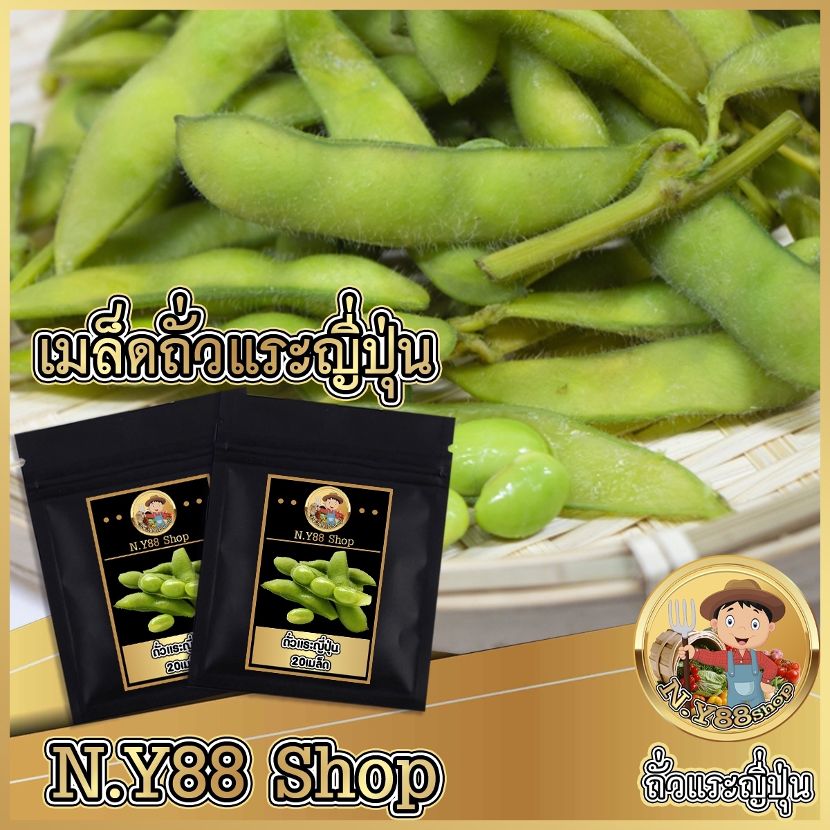 เมล็ดพันธุ์ถั่วแระญี่ปุ่น 20 เมล็ด เมล็ดพันธุ์ถั่วแระญี่ปุ่นนำเข้า สาย ...