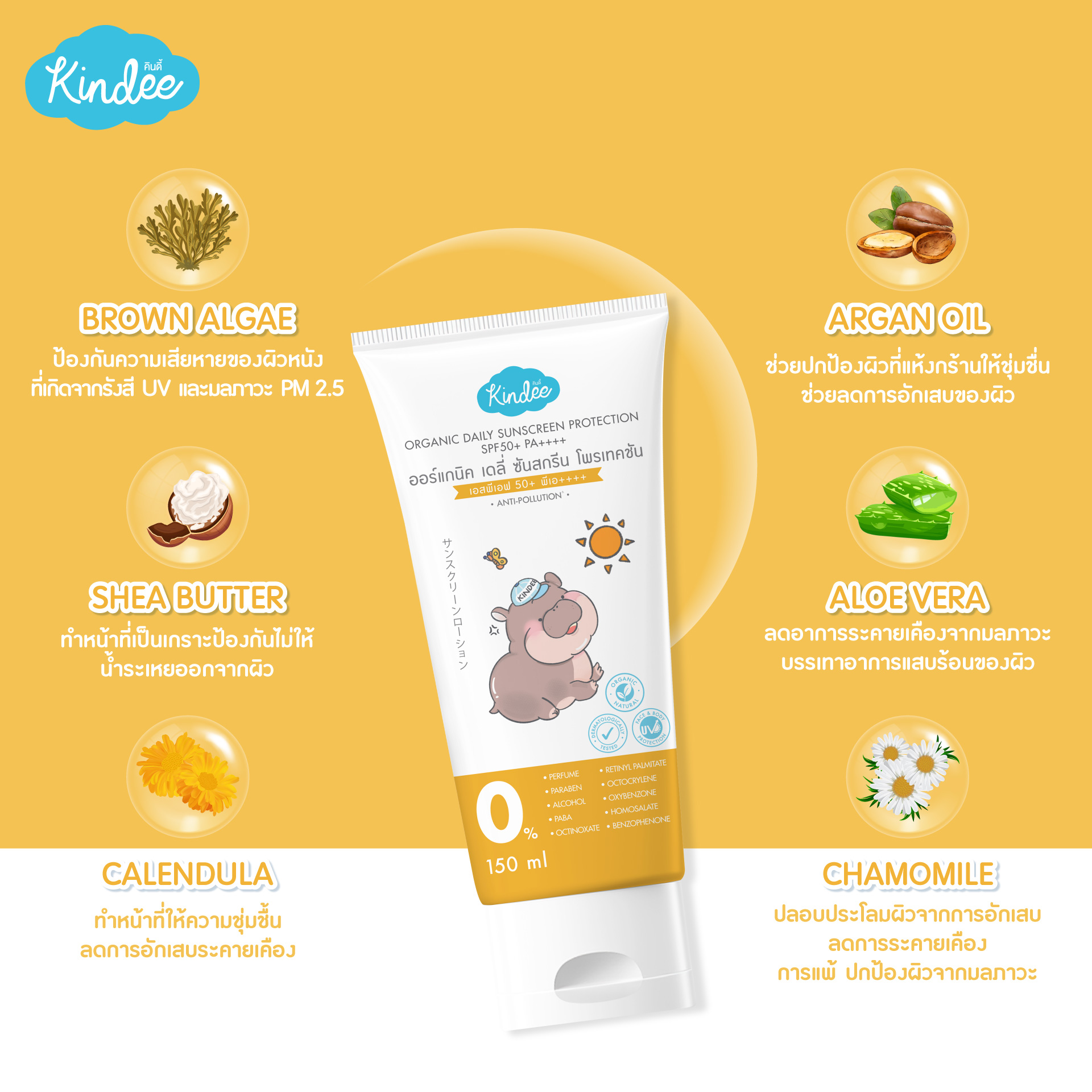 EXCLUSIVE SET Kindee ครีมกันแดด ออร์แกนิค SPF50 PA 150 มล. SPF50 PA 50 มล. ปืนฉีดน้ำหมูเด้ง (คละ ...