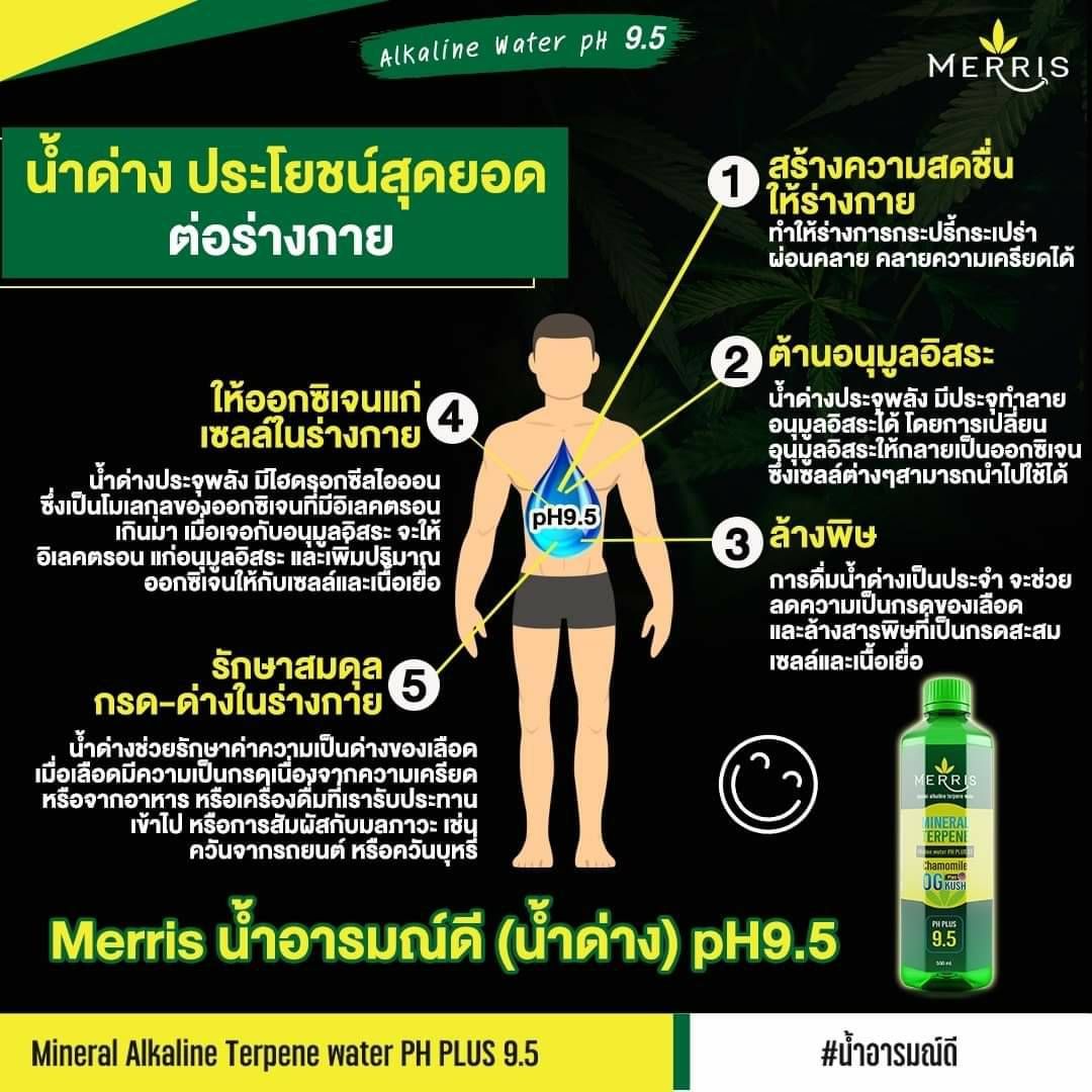 Merris เมอริส เครื่องดื่มน้ำอัลคาไลน์ Alkaline น้ำด่าง pH9.5 1ลัง มี 24 ...