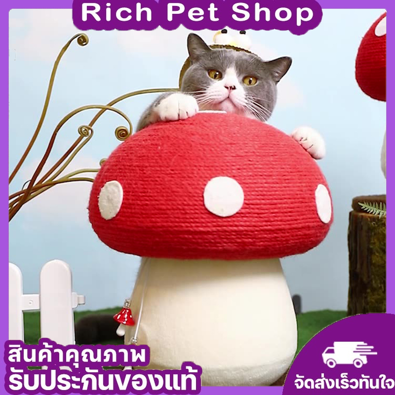 ใหม่🔥 Rich Pet ที่ลับเล็บแมว ทรงเห็ด🍄 ของเล่นแมว ที่ข่วนเล็บแมว คอนโดนสำหรับฝนเล็บ เสาฝนเล็บแมว ...