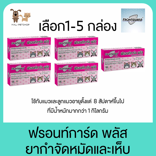 Frontguard Plus ฟรอนท์การ์ด พลัส ขายดี🔥 ยากำจัดหมัดและเห็บ สำหรับแมว ...