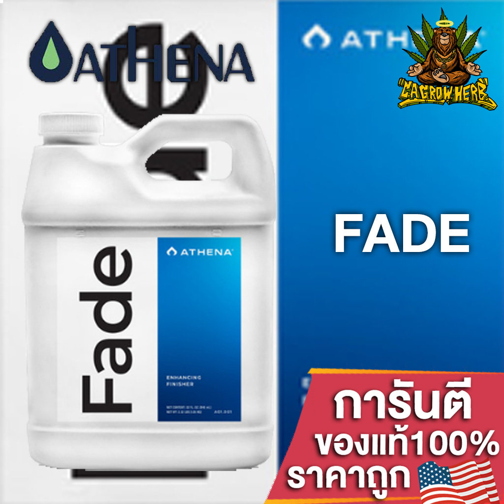 [Ready stcok]⭐⭐⭐⭐Athena Fade สารเติมแต่งขั้นสุดท้ายที่ปราศจากไนโตรเจน ...