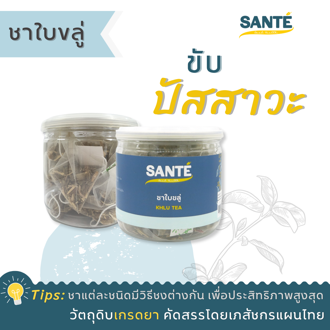 SANTÉ ซานเต้ ชาใบขลู่ Khlu Tea สมุนไพรไทย ขับปัสสาวะ | Lazada.co.th