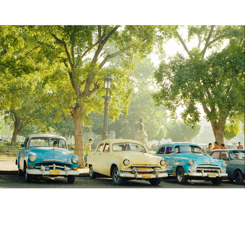 Kodak Gold 200 / Colorplus 200 / UltraMax 400 / Ektar 100 / Pro Image 100 ฟิล์ม / Fujifilm ...