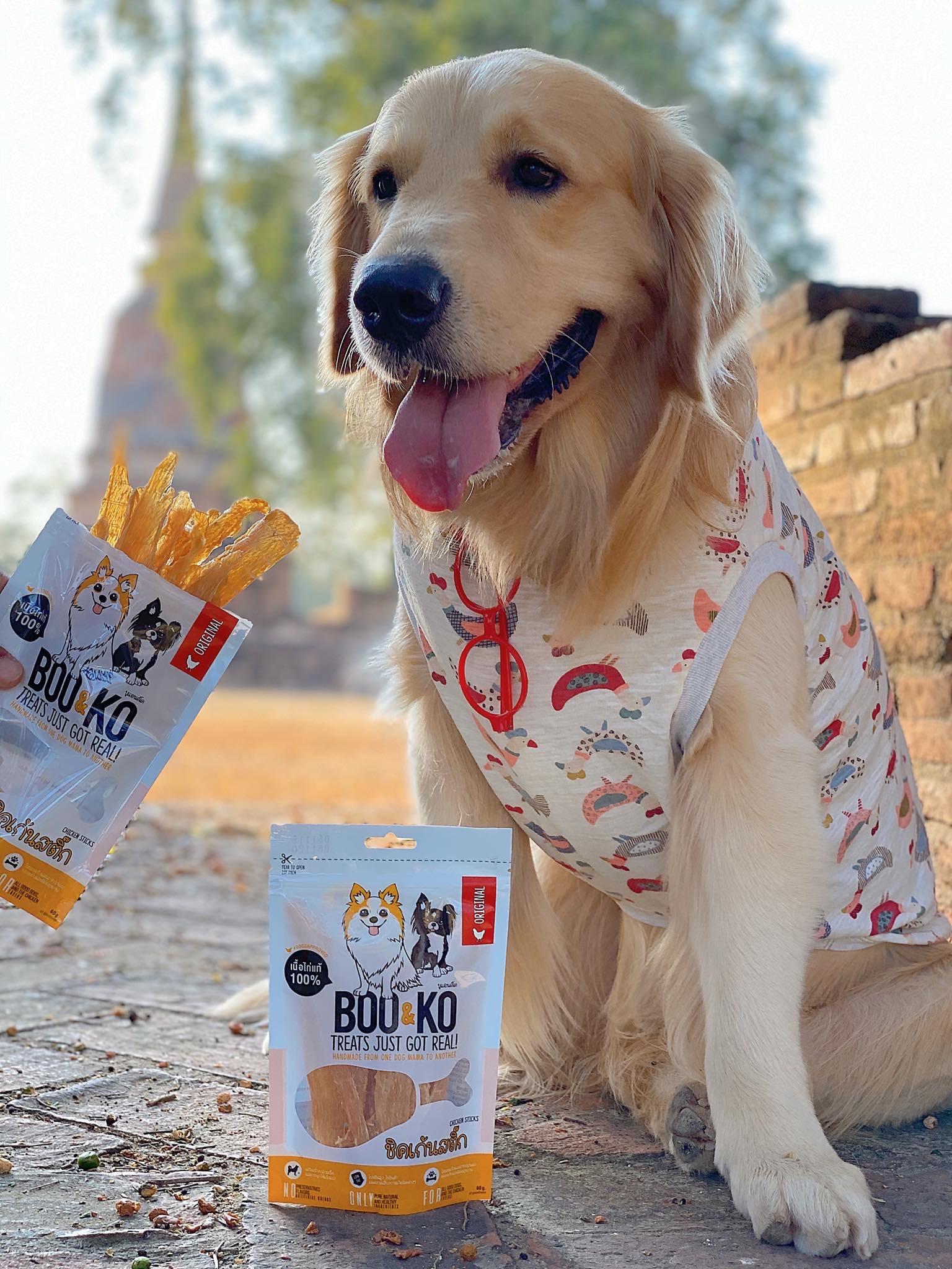 BOO&KO ขนมสุนัข ไก่อบแห้ง รสออริจินอล 60 กรัม [6ถุง] - BOO&KO - ThaiPick