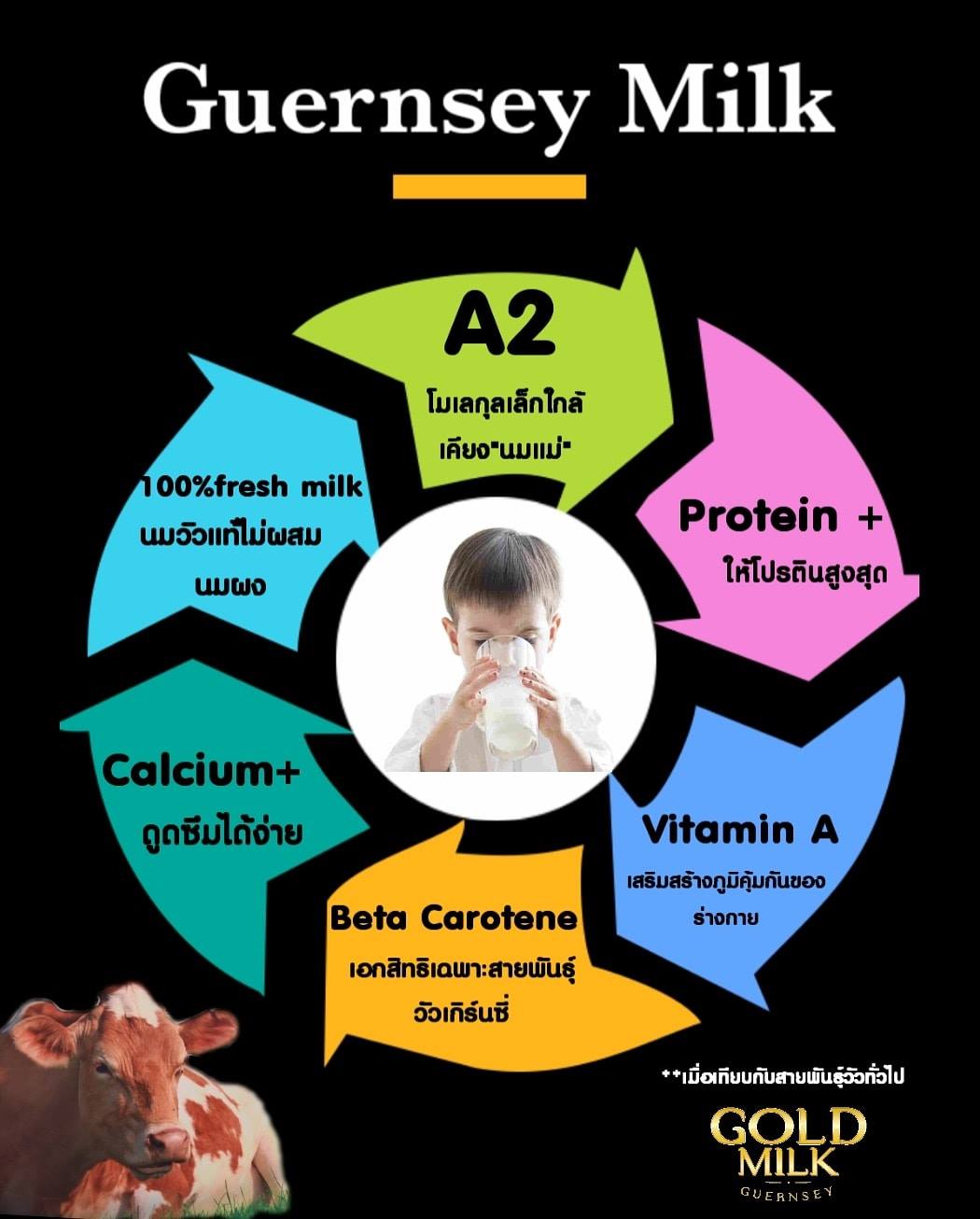 ขายยกลัง นม Goldmilk Guernsey UHT (180มล x 40กล่อง) Guernsey UHT (180 ml x 40pcs) - Guernsey UHT ...