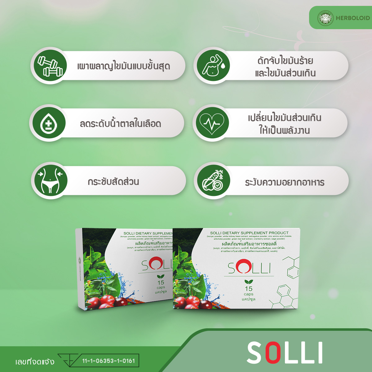 SOLLI :Herboloidผลิตภัณฑ์อาหารเสริมลดน้ำหนักจากธรรมชาติ( 4 แถม 1กล่อง) - Herboloid Thailand ...