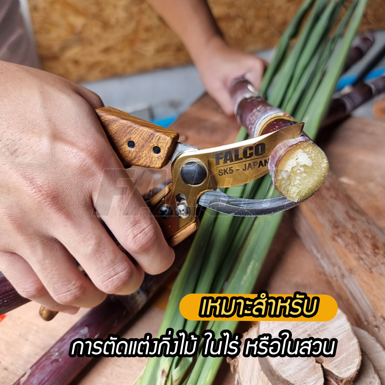 กรรไกรตัดกิ่งไม้ 3 จังหวะ Falco SK5 มาตรฐานญี่ปุ่น กรรไกรตัดกิ่ง กรรไกรแต่งกิ่ง 8 นิ้ว กรรไกรตัด ...