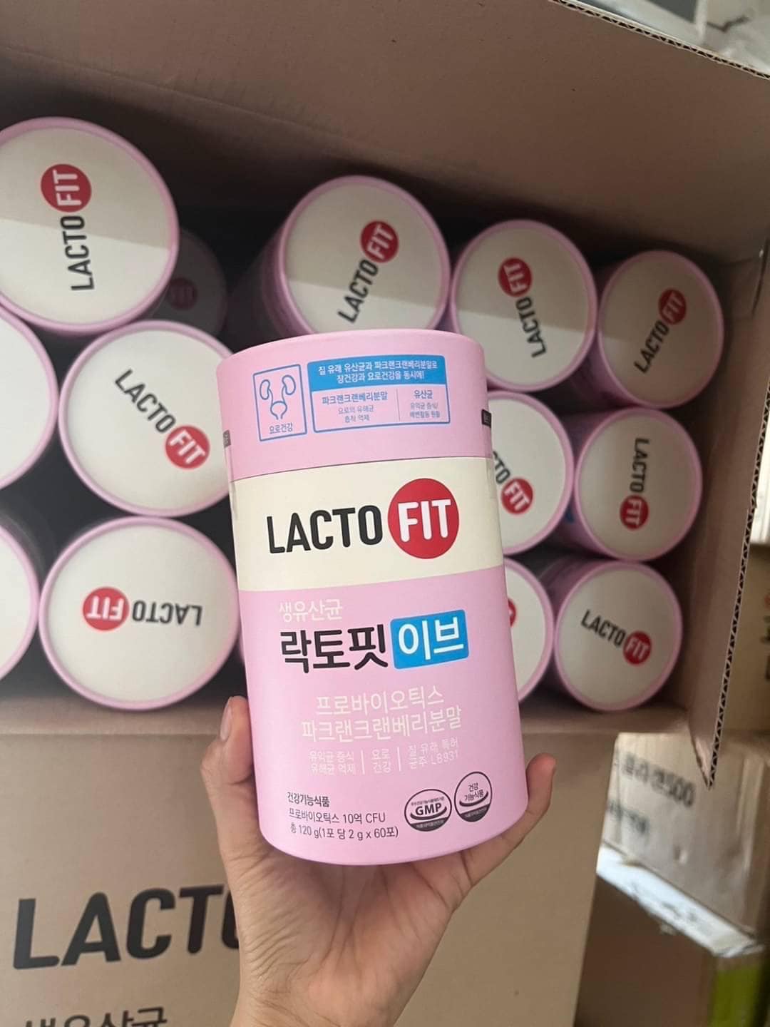 Probiotics Lacto Fit for kids สำหรับเด็ก โปรไบโอติก อันดับ1 LactoFit ...