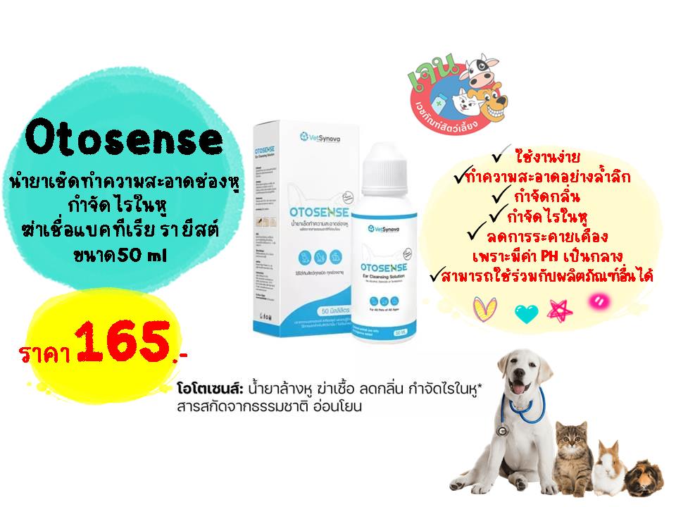 Otosense น้ำยาเช็ดทำความสะอาดช่องหู กำจัดไรในหู ฆ่าเชื่อแบคทีเรีย รา ...