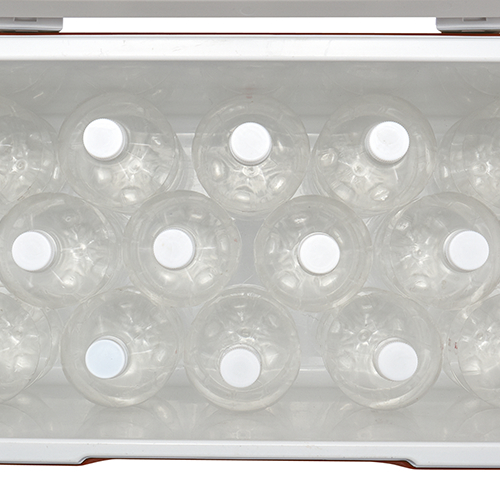 Coleman POLYLITE 48QT กระติกน้ำ - tawanchaisang outdoor shop - ThaiPick