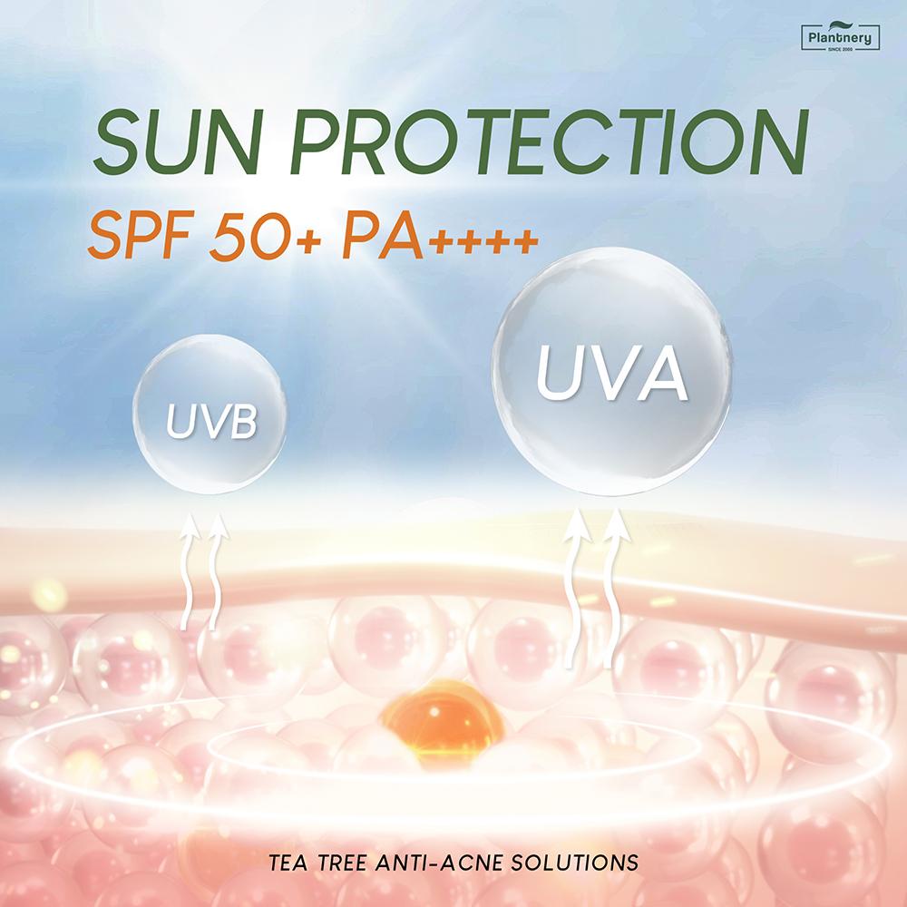 Plantnery Tea Tree Sunscreen Acne Oil Control SPF 50 PA 30 g ...