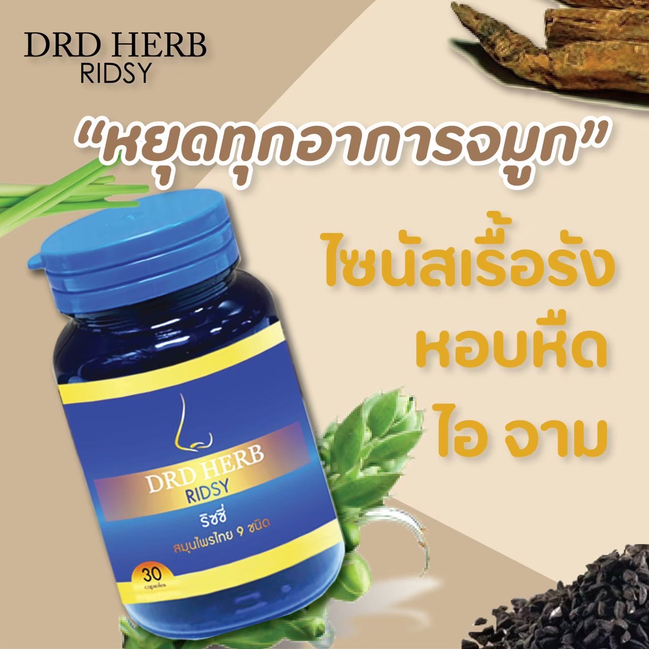ส่งฟรี????เซ็ท 5 แถมดม 2 นวด 1???? DRDHERB ดีอาร์ดีเฮิร์บ ภูมิแพ้ ไซนัส ...