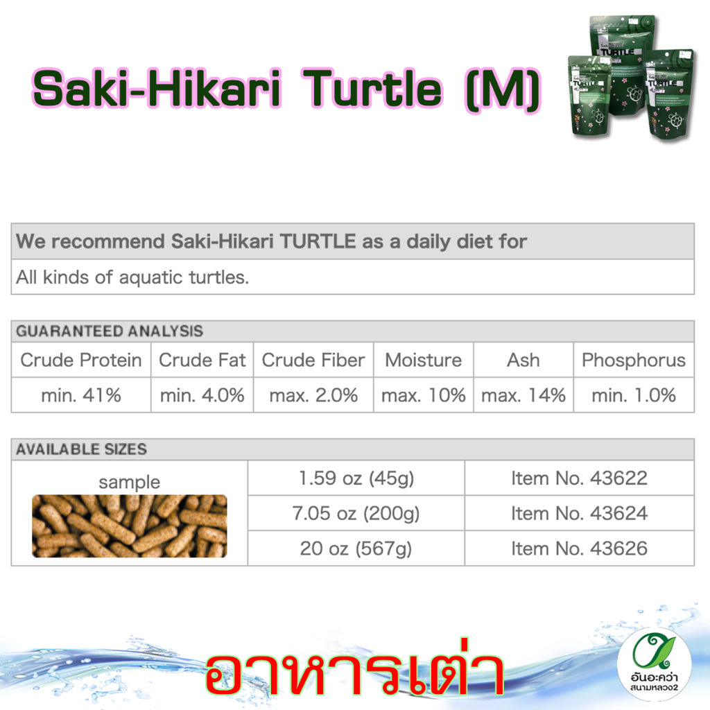 Saki-Hikari Turtle - an aqua - ThaiPick