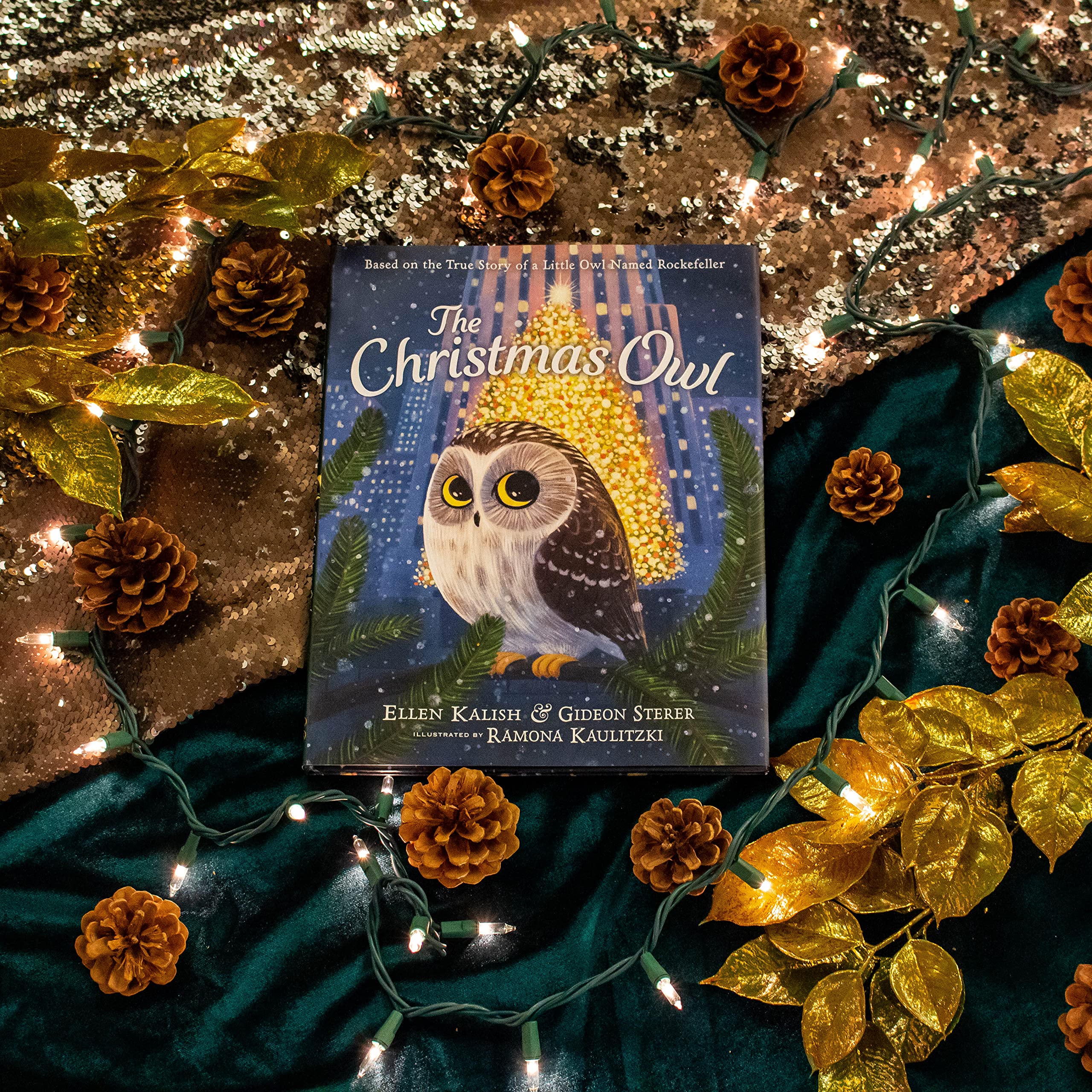 The Christmas Owl Based on the True Story of a Little Owl Named ...