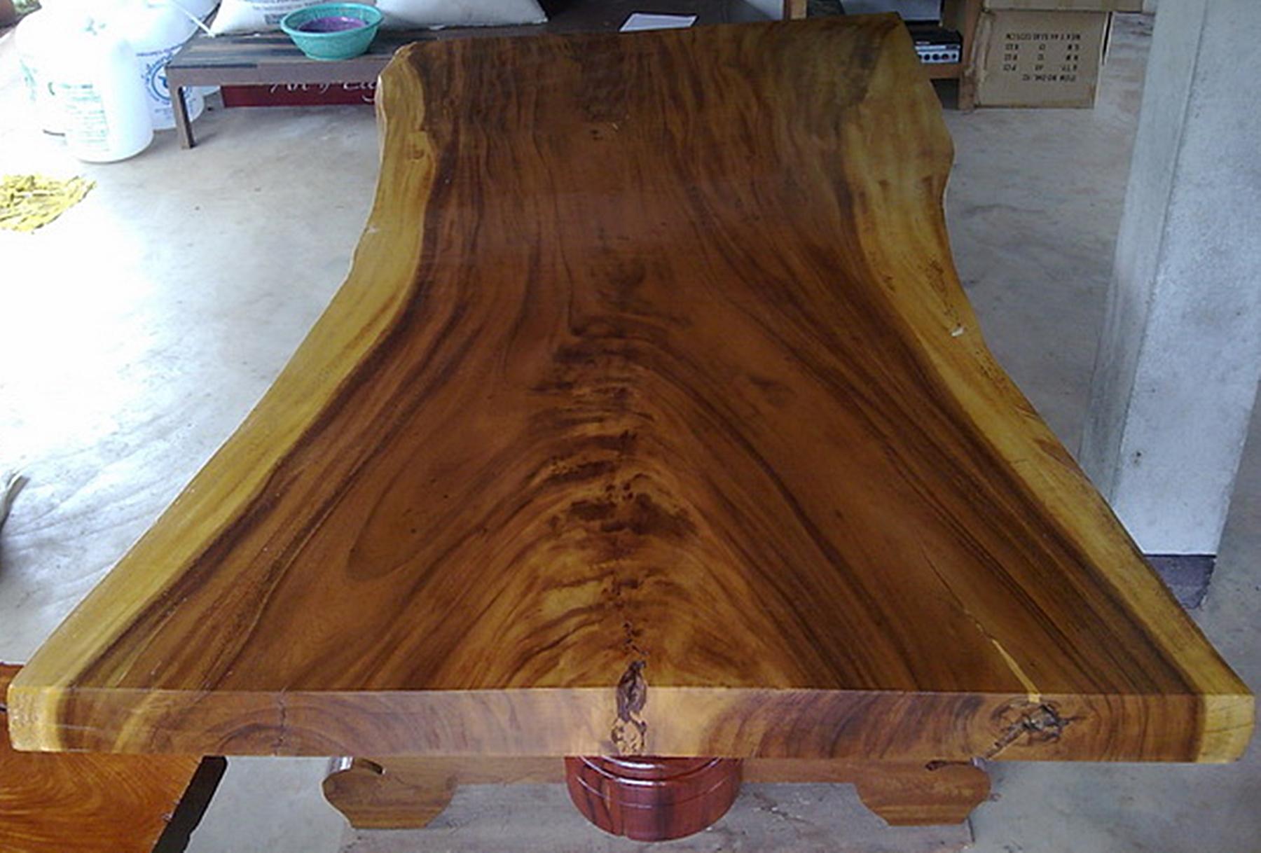 ขายส่ง 100 กรัมหรือ 1 ขีด เมล็ดจามจุรี Rain tree ก้ามปู จามจุรีแดง ฉำฉา ต้นไม้ประจำจังหวัดลำพูน ...