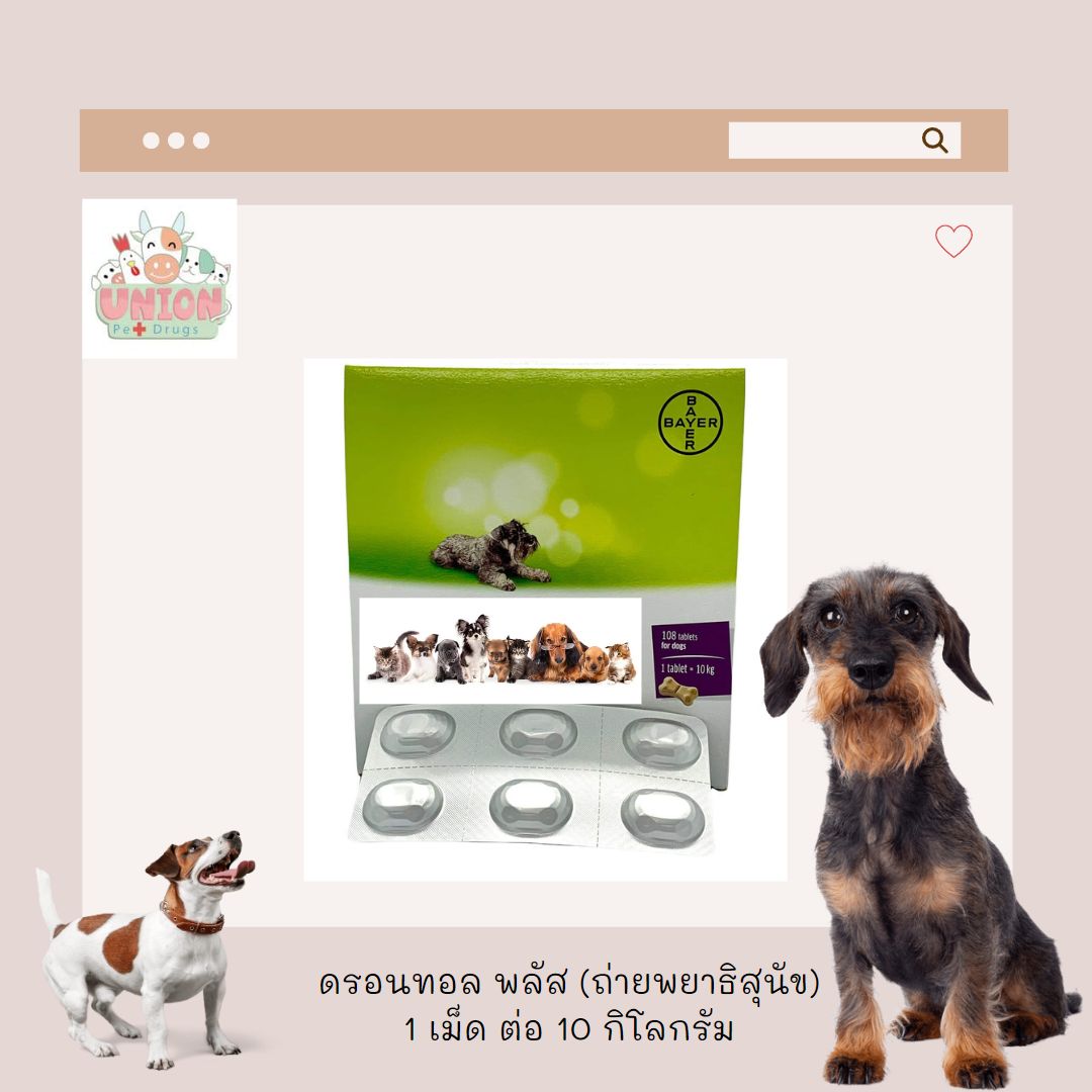 DT PLUS FOR DOG (1 pack 6 tab) สำหรับสุนัข (1 tab 10 kg) EXP.052026 ลด ...