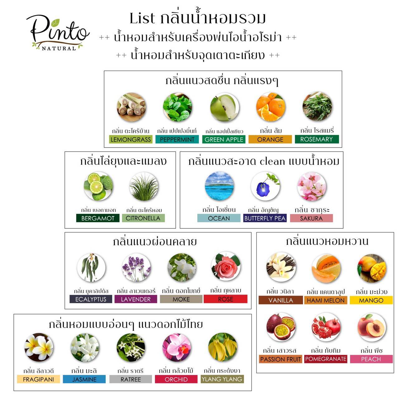 Pinto Natural Aromatic Reed Diffuser ก้านไม้หอมปรับอากาศ กลิ่นดอกโมก ...