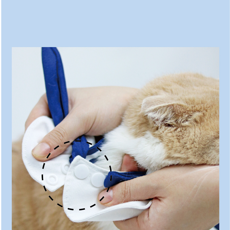 Purlab Student ผ้าคลุมแมว - Leftpert - ThaiPick