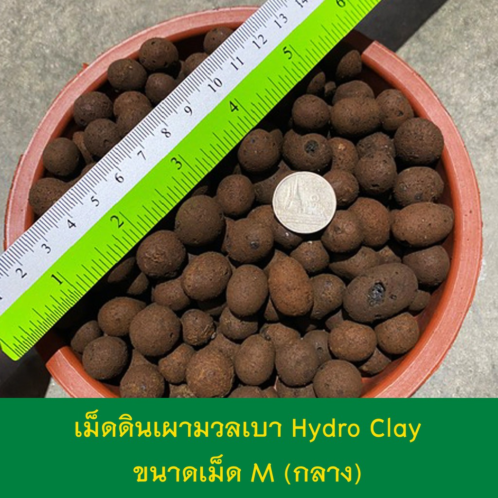 ♩เม็ดดินเผามวลเบา 35 ลิตร Hydro Clay ขนาด S-M-L ดินเผามวลเบา LECA ...