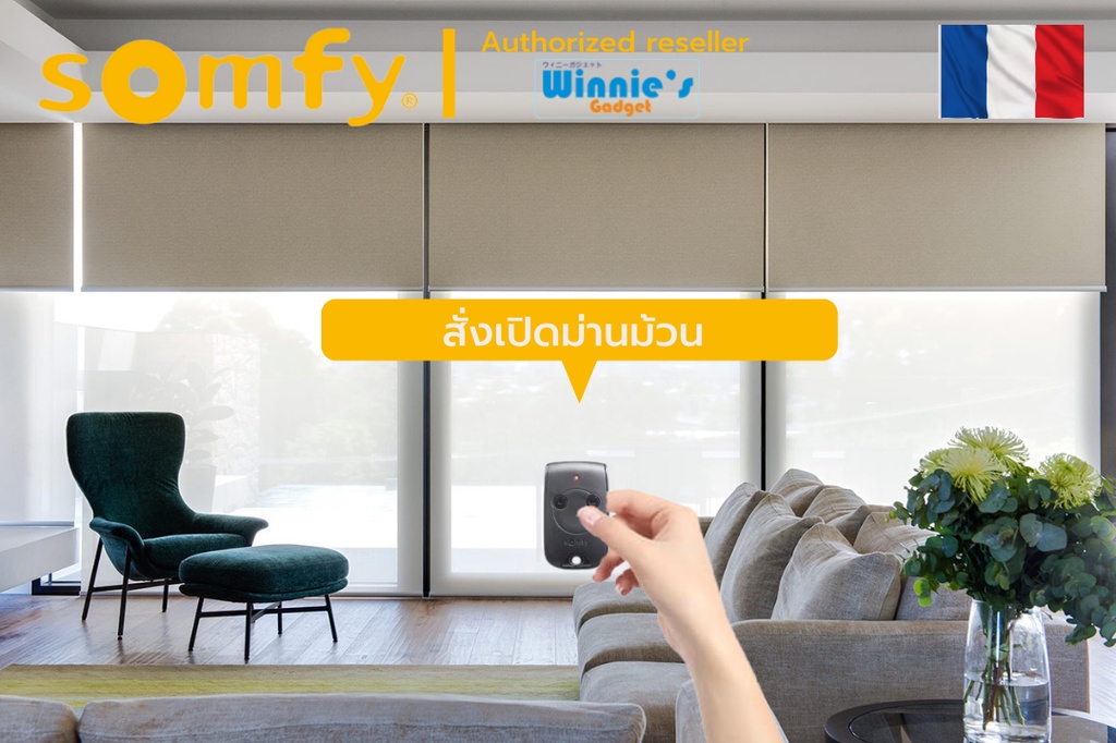Somfy (ขายส่ง) รีโมทควบคุม Somfy Keytis RTS ระบบ RTS ป้องกันการโจรกรรมทุกรูปแบบ ระยะ 30 เมตร ใช้ ...