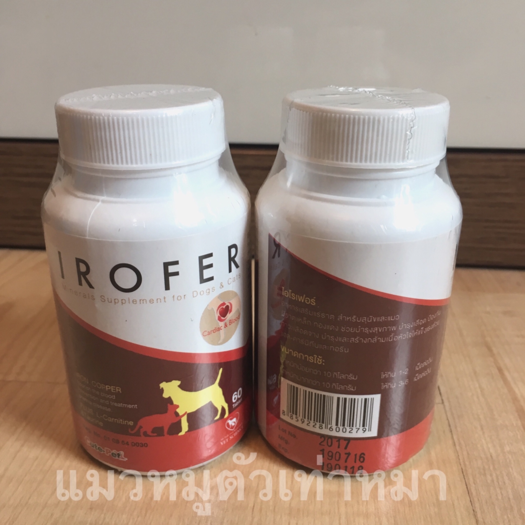Irofer วิตามินบำรุงเลือดไอโรเฟอร์แบบเม็ด60เม็ด - Cattygift - ThaiPick