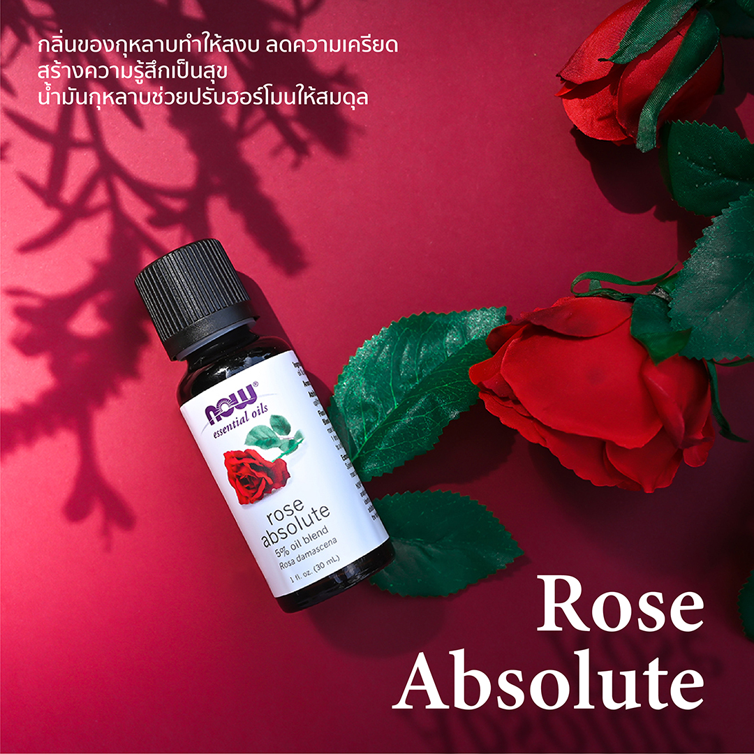 Now Foods Rose Absolute Oil Blend 30 ml 5 Oil Blend Essential Oil น้ำมันหอมระเหย โรสแอปโซลูต ...