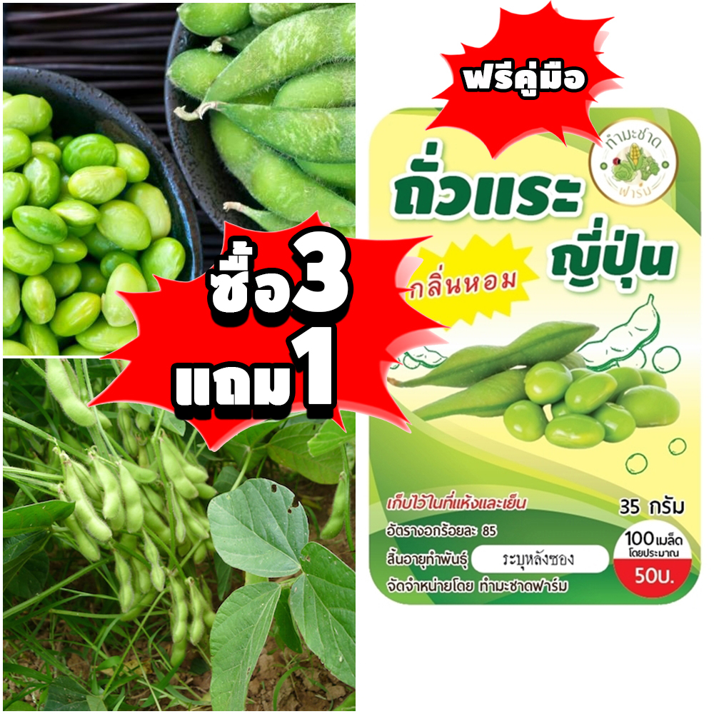 3แถม1 ฟรีคู่มือ เมล็ดพันธุ์ ถั่วแระญี่ปุ่น พันธุ์กลิ่นหอม ใบเตย ประมาณ ...