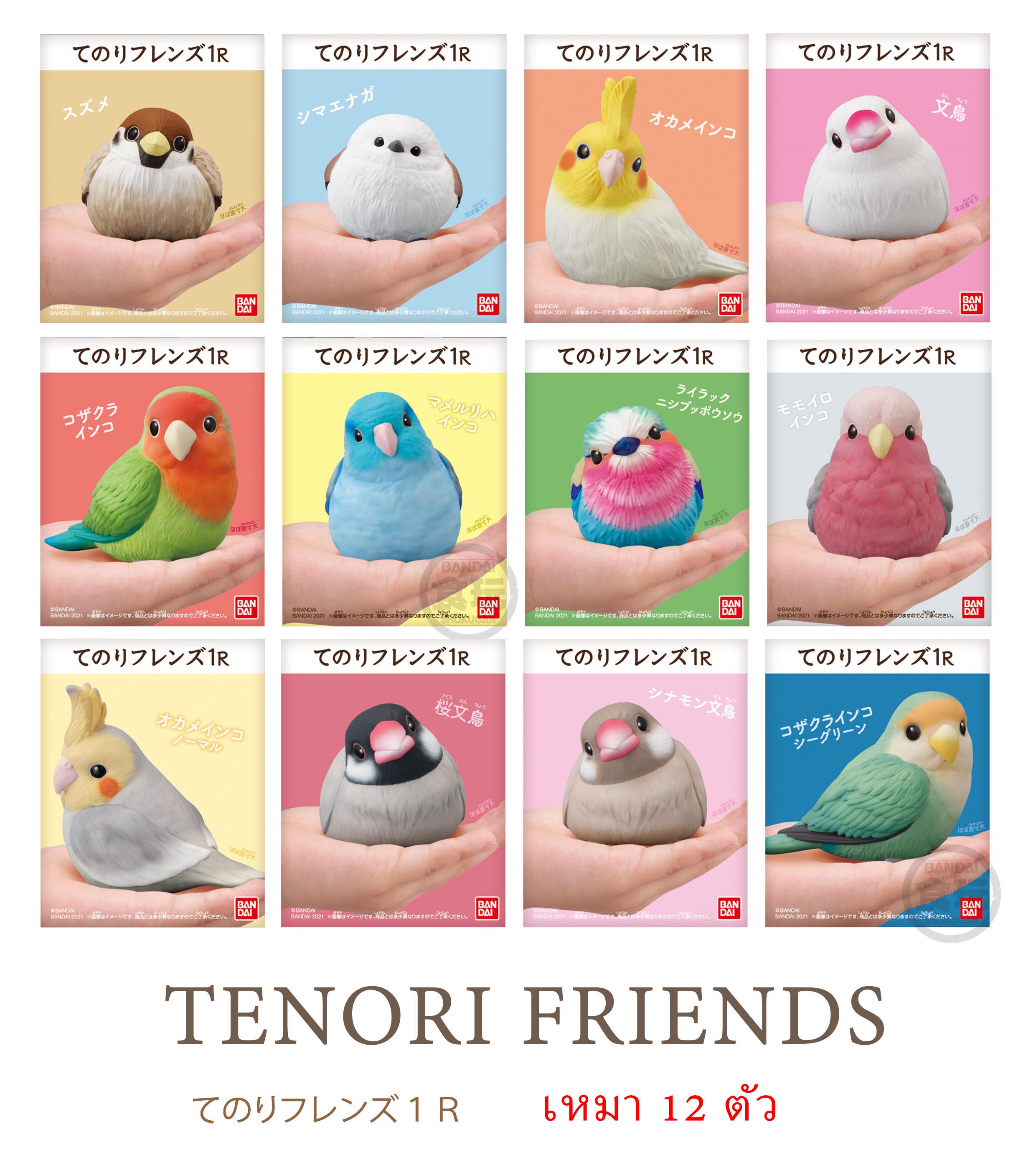 เหมา Bandai Tenori Friends 1R โมเดลสัตว์ โมเดลนก สมจริง น่ารัก Bird ...