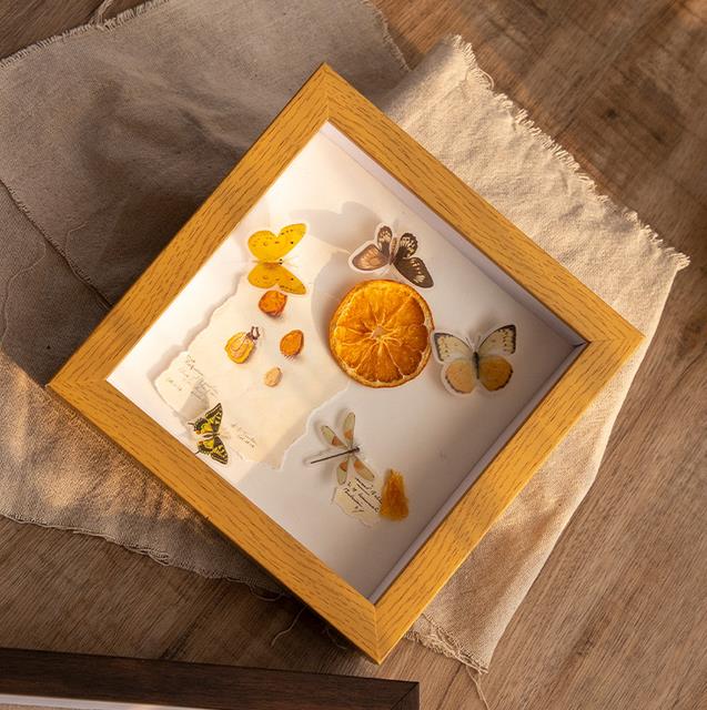 Dried Flower Display Frame | Lazada.co.th