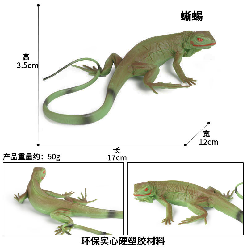 จำลองสัตว์รุ่นสัตว์เลื้อยคลานสะเทินน้ำสะเทินบกสีเขียว Iguana Lizard ...