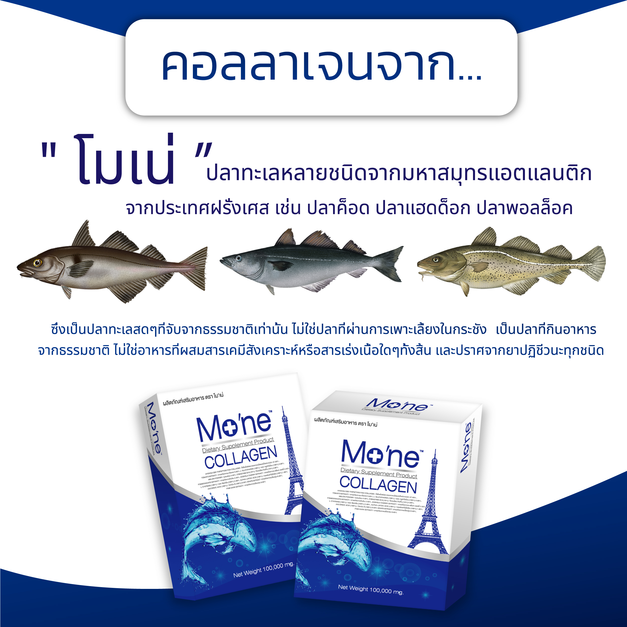 โมเน่ คอลลาเจน Mone Collagen สั่งซื้อสินค้าโดยตรงกับบริษัท ไม่ผ่านตัวแทน รับประกันสินค้าของแท้ ...