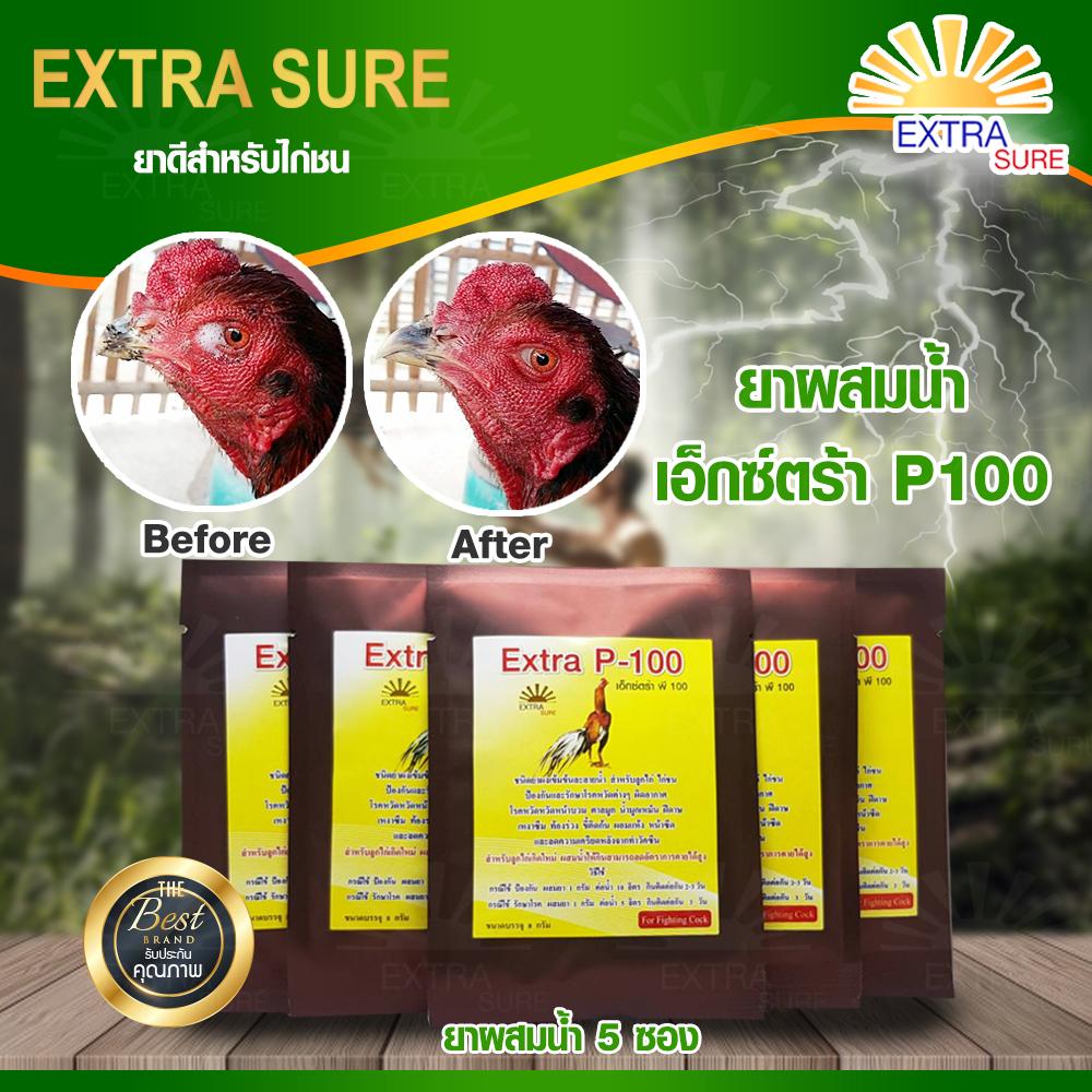 เอ็กซ์ตร้าชัวร์ Extrasure ยาผสมน้ำ เอ็กซ์ตร้า P100 โปร 5 ซอง 250 (ส่ง ...
