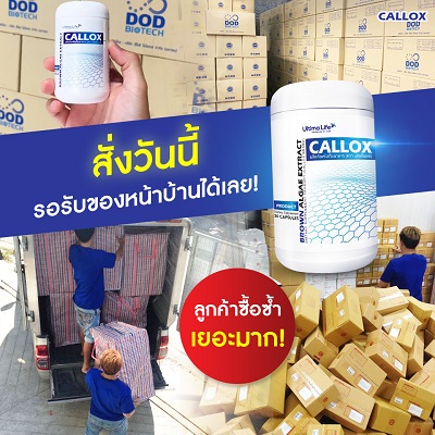 Callox หุ่นดีไร้ไขมันส่วนเกิน (2กระปุก 60 แคปซูล) ของแท้ล้านเปอร์เซ็น - CP office center - ThaiPick
