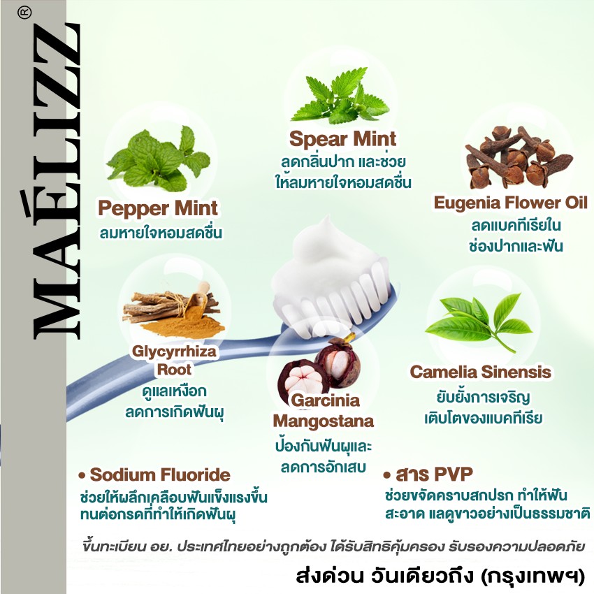 Maelizz 360 มูสยาสีฟัน 60ml. Tooth Mousse ป้องกันฟันผุ แถมฟรี แปรงสีฟัน ดูแลเหงือก ลดกลิ่นปาก ...