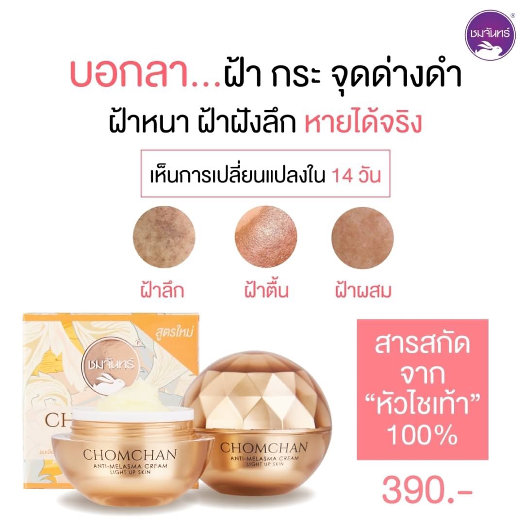 ครีมลบฝ้าชมจันทร์ สูตรใหม่ ( Anti-Melasma Cream ) - Puket Stores