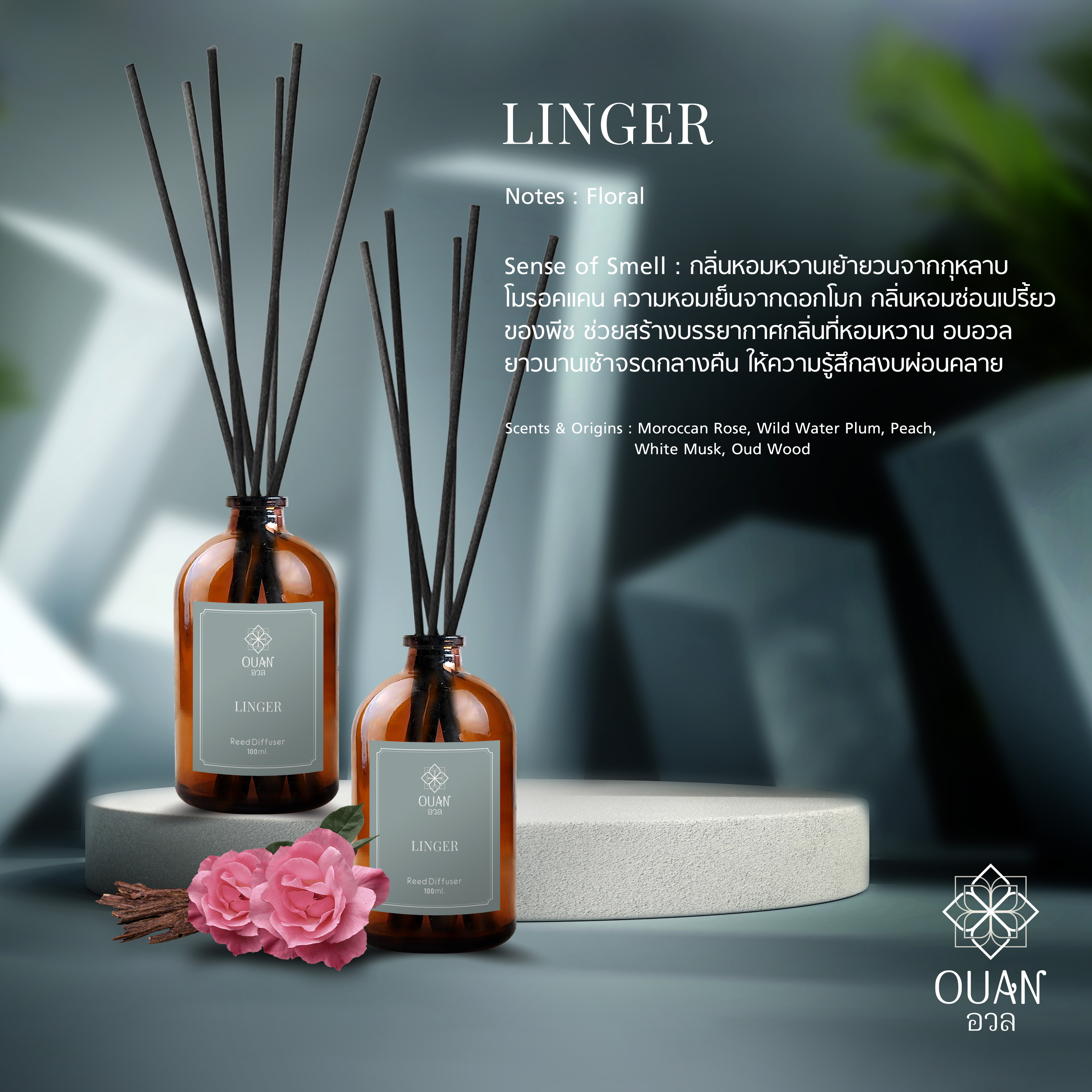 Reed Diffuser (100 ml) จัดชุด 2 ขวดราคาพิเศษ อวล ก้านไม้หอม ก้านไม้หอมปรับอากาศ - อวล เครื่องหอม ...