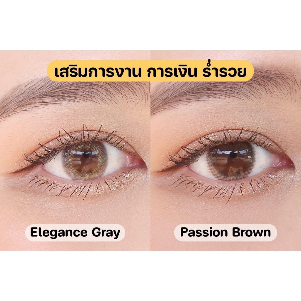 MTK Lens เสริมดวงการงาน การเงิน ร่ำรวย Elegance / Passion คอนแทคเลนส์สายมู | Lazada.co.th