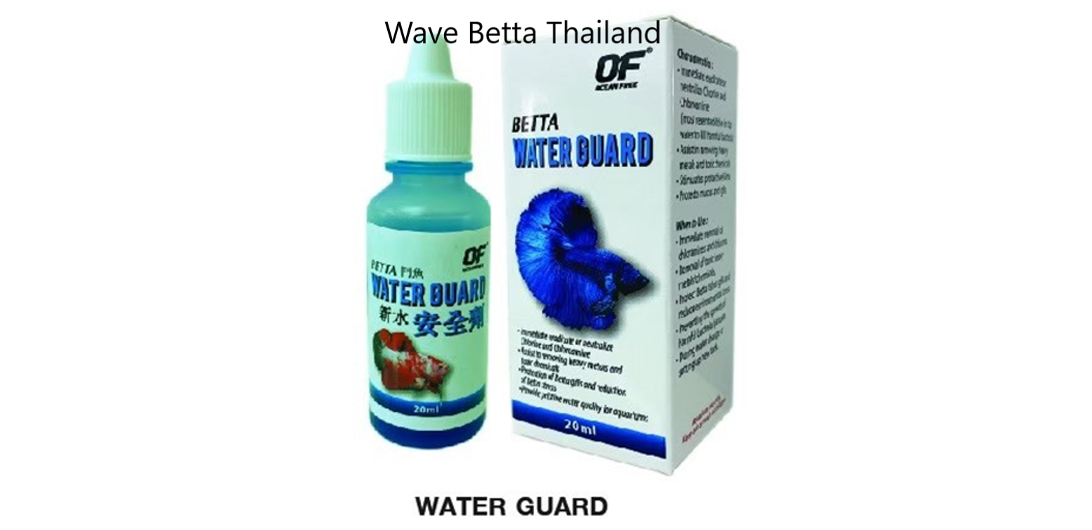 OCEAN FREE ผลิตภัณฑ์เพื่อปลากัด 3 สูตร BETTA WATER GUARD , BETTA CURE ...