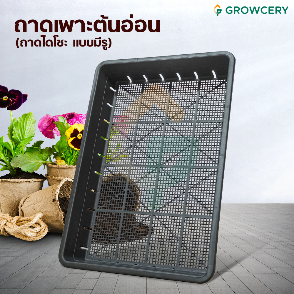 [G] ถาดเพาะต้นอ่อน ถาดไดโซะ แบบมีรู เพาะต้นอ่อนทานตะวัน เพาะกระบองเพชร **สั่งขั้นต่ำ 2 ใบ** โดย ...