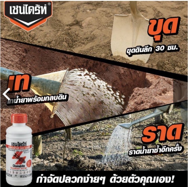ไชนไดร้ท สเตดฟาส chaindrite 40 อีซี ขนาด 500 ซีซี กำจัดและป้องกัน ปลวก ...
