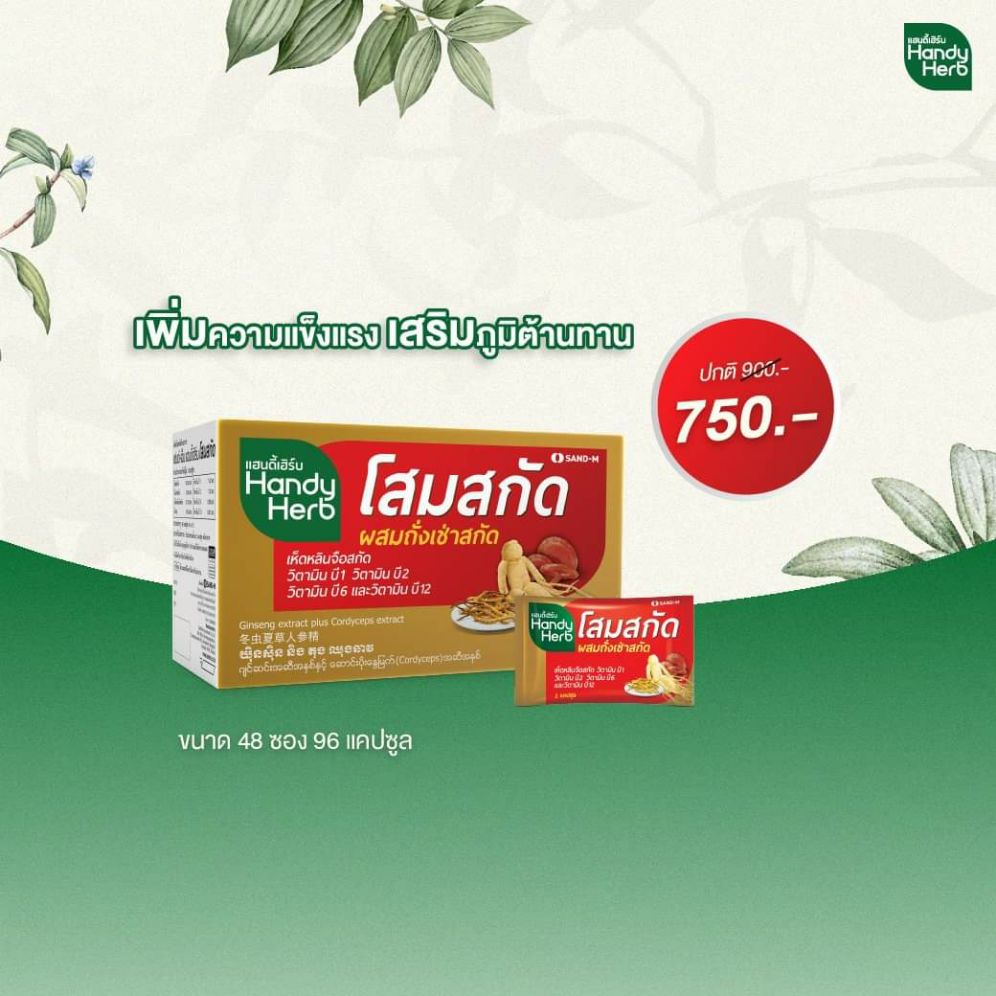 Handy Herb Ener-G แฮนดี้ เฮิร์บ เอนเนอร์จี [1 กล่อง/24 ซอง] - Flashsale ...