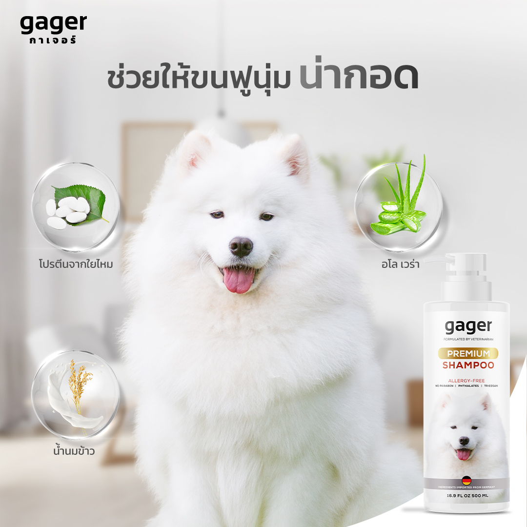 Gager (กาเจอร์) แชมพูอาบน้ำหมา แชมพูหมา บำรุงขนนุ่ม หอมมาก สกัดจากน้ำนม ...